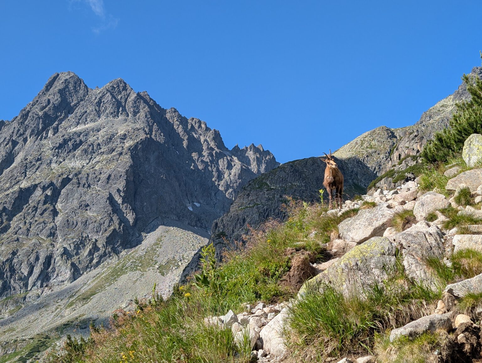 Rysy: In sechs Tagen durch die Hohe Tatra und auf den höchsten Berg ...